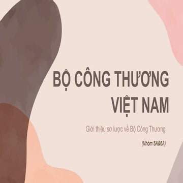 Brief Introduction of MOIT in Vietnamese.pptx
