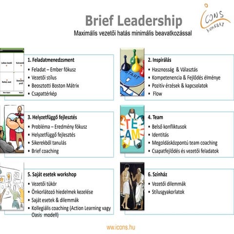 Brief leadership | PDF