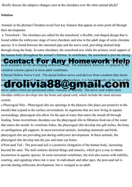 Phylum chordata - zoology | PPTX | Fish and Aquariums | Pets