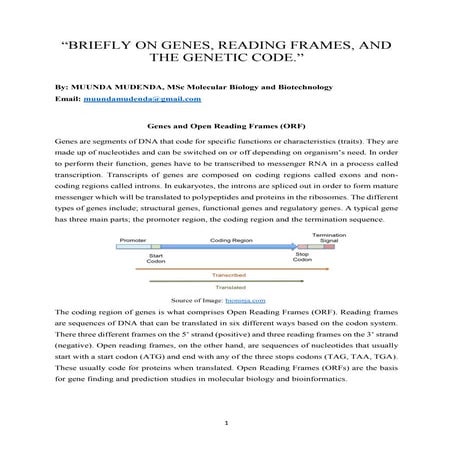 BRIEFLY ON GENES, READING FRAMES AND THE GENETIC CODE | PDF
