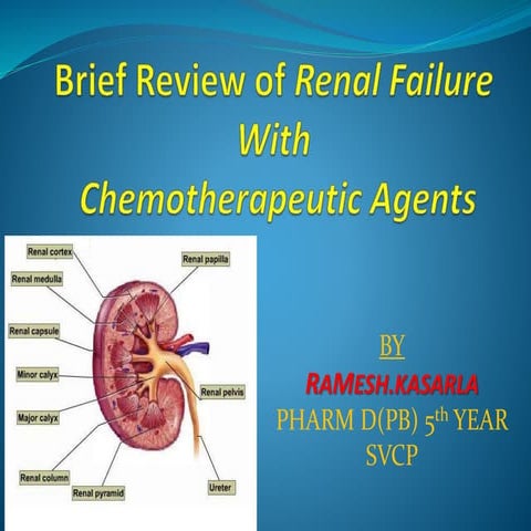 antiemesis (1).pdf
