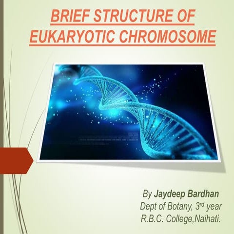 Chromosome structure and packaging of dna | PPTX