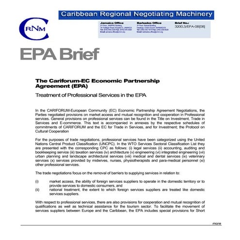 Brief: Treatment of Professional Services In The EPA | PDF