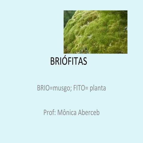 Briofitas E Pteridofitas | PPT