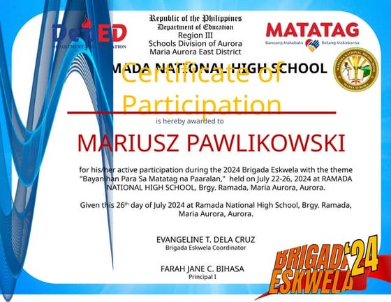 DFOT PARTICIPATION CERTS FOR PARTICIPANTS | PPT