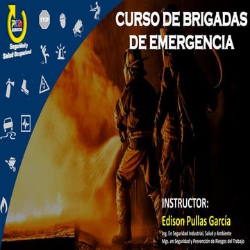 CONFORMACION DE BRIGADAS DE EMERGENCIAS[1].pdf