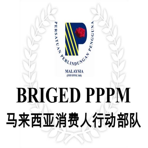 BrigedPPPM | PPTX
