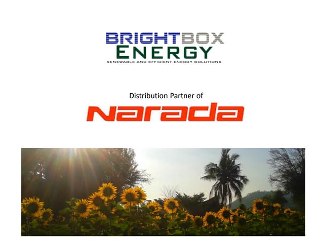 BvDEP & Transfer Pricing | PDF