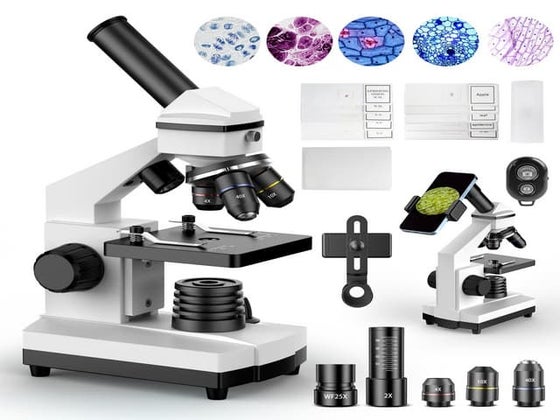 Bright field microscopy, Principle and applications | PPTX | Eye and ...