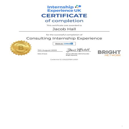Bright Network Consulting Internship Experience | PDF