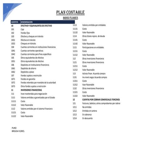 PLAN CONTABLE 2020 ESTUDIANTES DE CONTABILIDAD.pdf