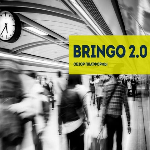 Bringo | PDF | Web Hosting | Internet