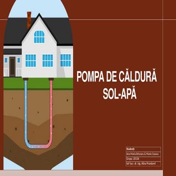 Brinzaru Annnna_Ceausu Mario SOL-APA.pptx