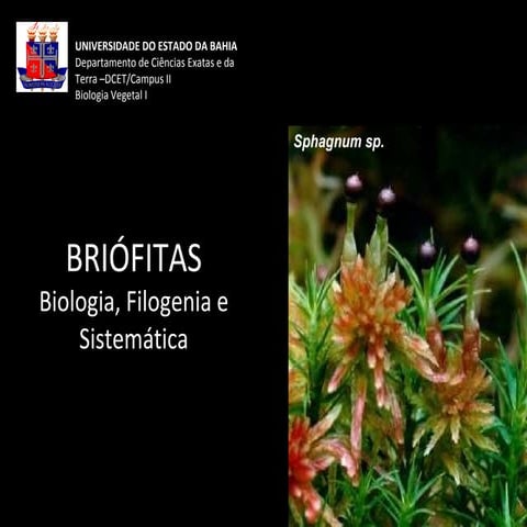 Briofitas | PPT