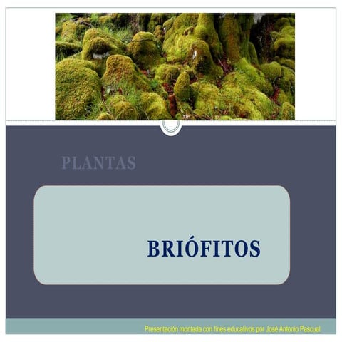 briofitos de arte y cultura enfasis en modelo | PDF