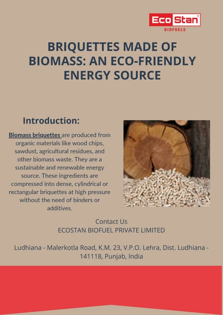 Briefly Biomass Fuel Pellets Overview.pdf