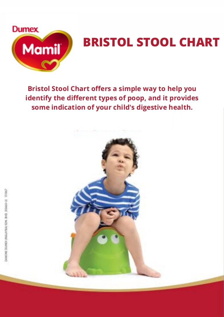 Bristol Stool Chart And Toddler Digestive System bristol-stool-chart-and-toddler-digestive-system