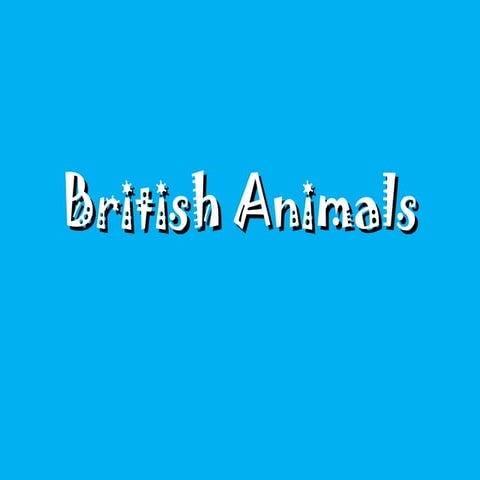 British animals cs | PPT | Birdwatching | Hobbies & Interests