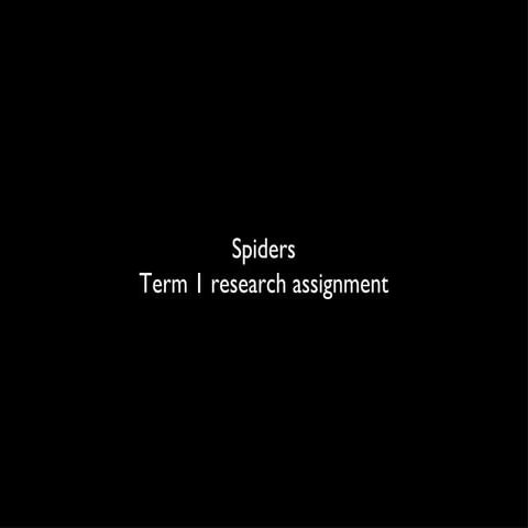 spiders | PPT