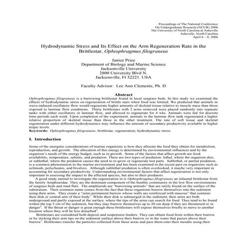 Brittlestar regeneration rate paper janice price and lee ann clements | PDF