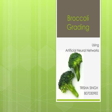 Broccoli Grading | PPTX