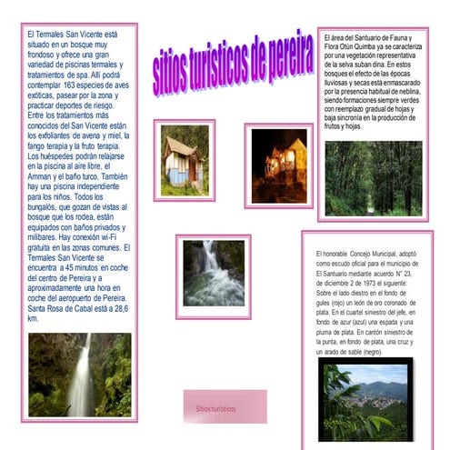 Oral 1ro esquema de contenidos nodales - | PDF
