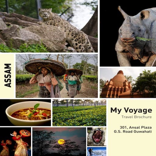 Assam Tourism | PDF