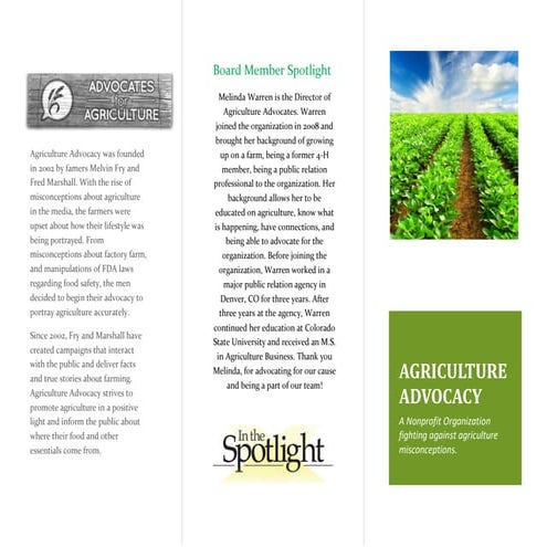 Portfolio Instructions | PDF