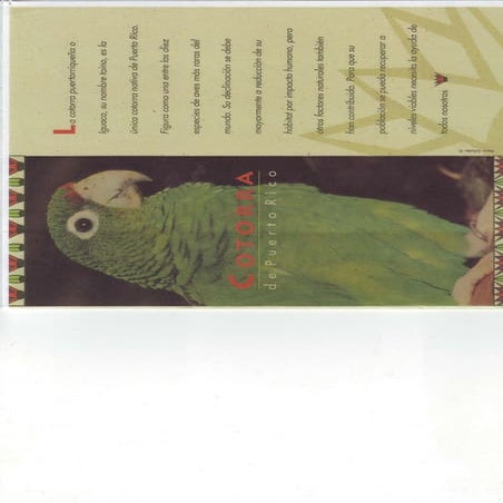 Brochure Cotorra Pr 1 | PDF