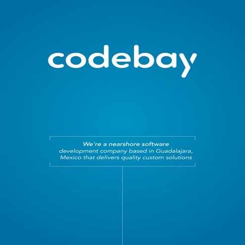 Codebay Brochure for software development | PDF