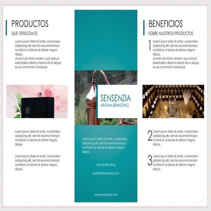 Modelo de Brochure | PDF