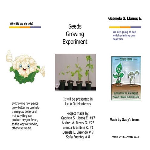 Fun Learning for Kids: The World of Plants | PDF