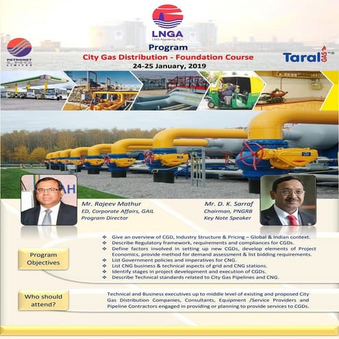 City Gas Distribution - Foundation Course | PDF