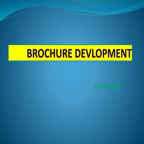 Travel brochure grade 8 | PPTX