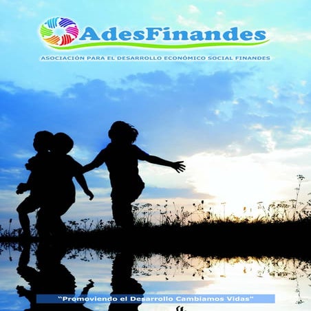 PRESENTACION ONG PERU ADESFINANDES | PDF