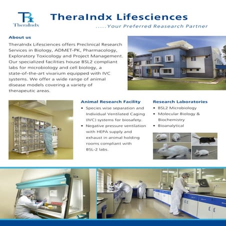 Brochure final | PDF