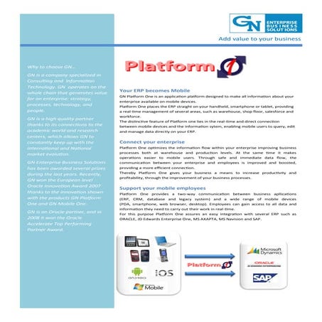 GN platform one (english) | PDF | Computing | Technology & Computing
