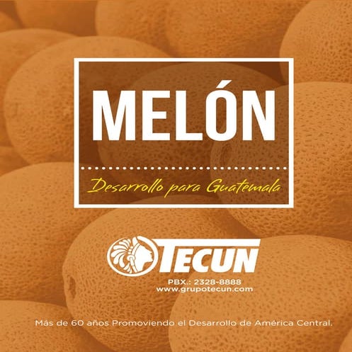 Plantación de Melon | PDF