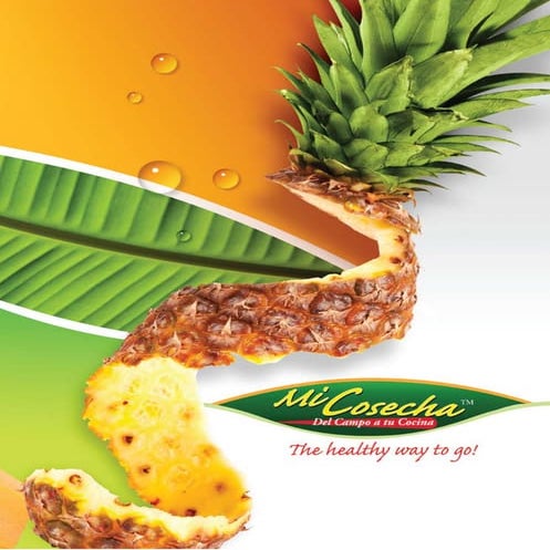 Brochure Mi Cosecha chips and fruit | PDF | Agriculture | Industries