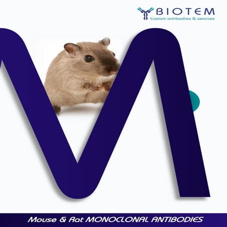 Mouse & Rat Monoclonal Antibody | PDF