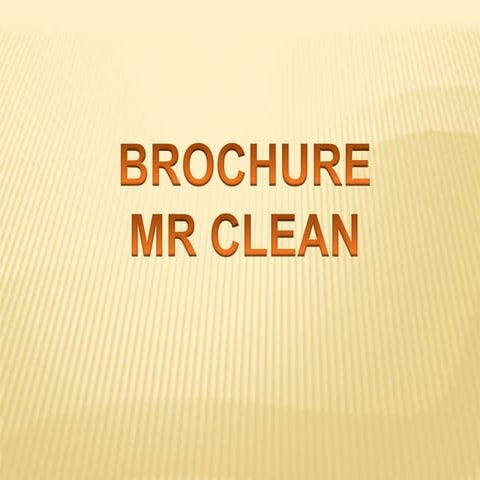 Brochure mr clean | PPTX