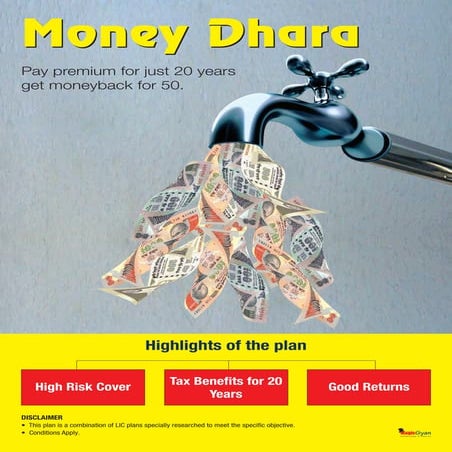Brochure of money dhara | PDF