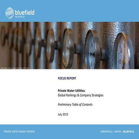 Private Water Utilities: Global Rankings & Company Strategies | PDF