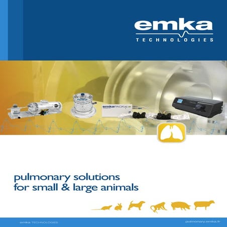 Pulmonary solutions for small and large animals | PDF