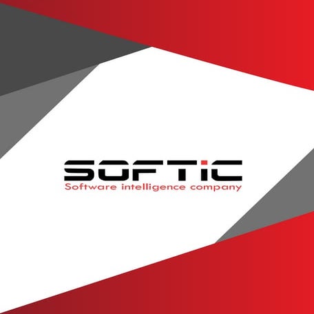 SOFTIC SOFTWARE | PDF