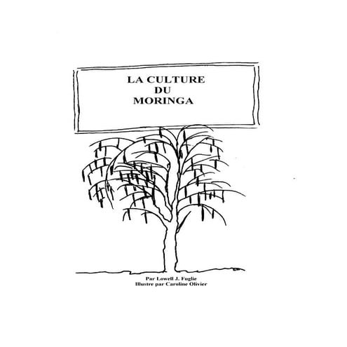 Brochure sur la_production_de_fruits_moringa | PDF