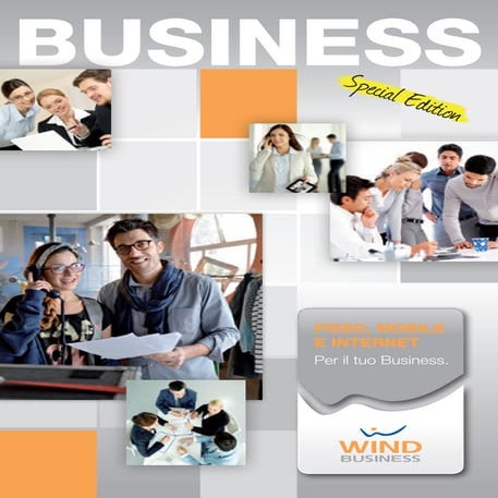 Brochure wind business 18032013 | PDF | Phone Services | Home Utilities