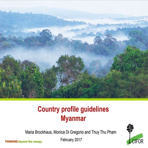 Country profile guidelines: Myanmar | PPTX