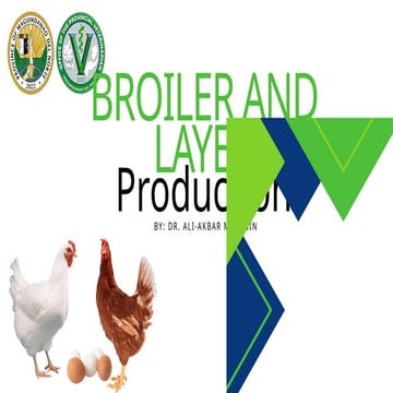 BROILER AND LAYER PRODUCTION - A tagalog presentation on broiler and ...