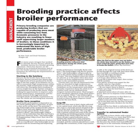 Broiler brooding practices | PDF | Birds | Pets